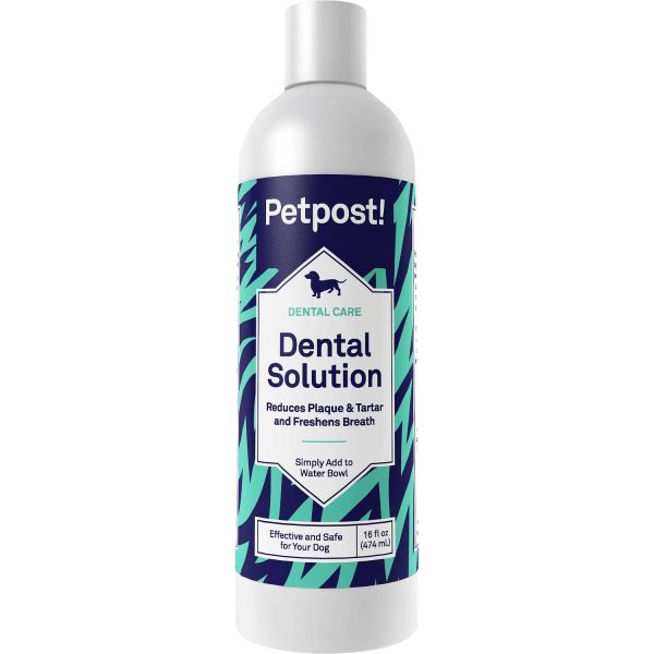 8 Best Dog Dental Water Additives in 2025 - Reviews & Top Picks – Dogster