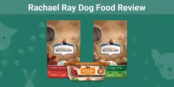 Rachael Ray Dog Food Review 2024: Recalls, Pros & Cons – Dogster