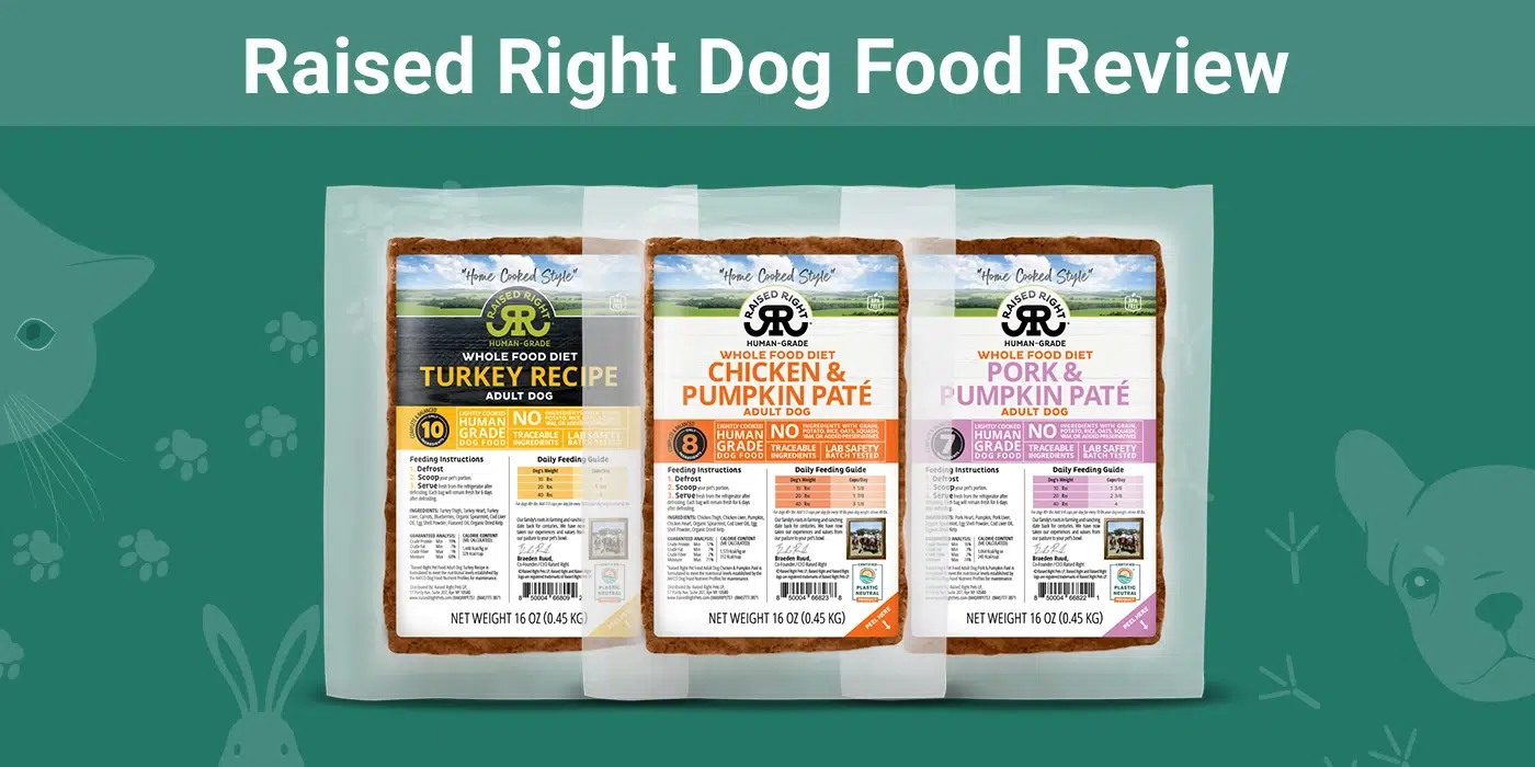 Raised Right Dog Food Review 2024: Our Expert’s Opinion – Dogster