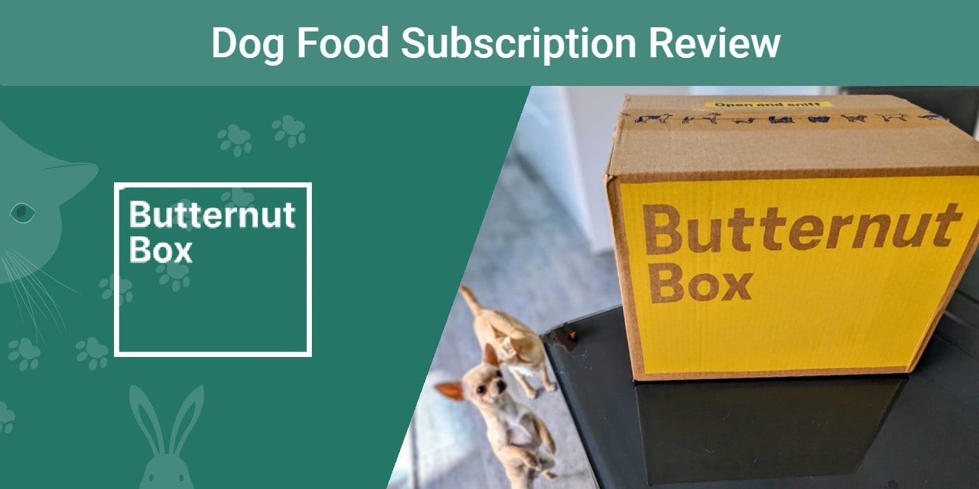 Butternut Box Dog Food Subscription Review 2024: Our Expert’s Opinion ...