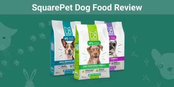 SquarePet Dog Food Review 2024: Recalls, Pros & Cons – Dogster