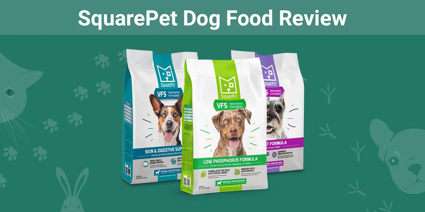 SquarePet Dog Food Review 2025: Recalls, Pros & Cons – Dogster