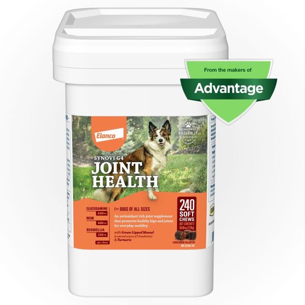 10 Best Joint Supplements for Dogs in 2025 - Reviews & Top Picks – Dogster