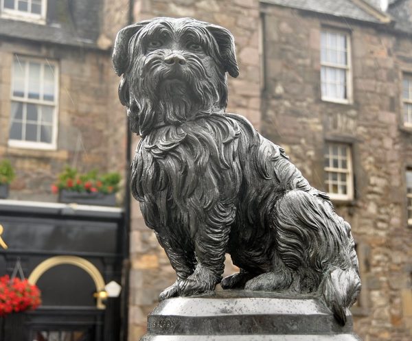 10 Famous Dog Statues From Around the World (2024 Update) – Dogster
