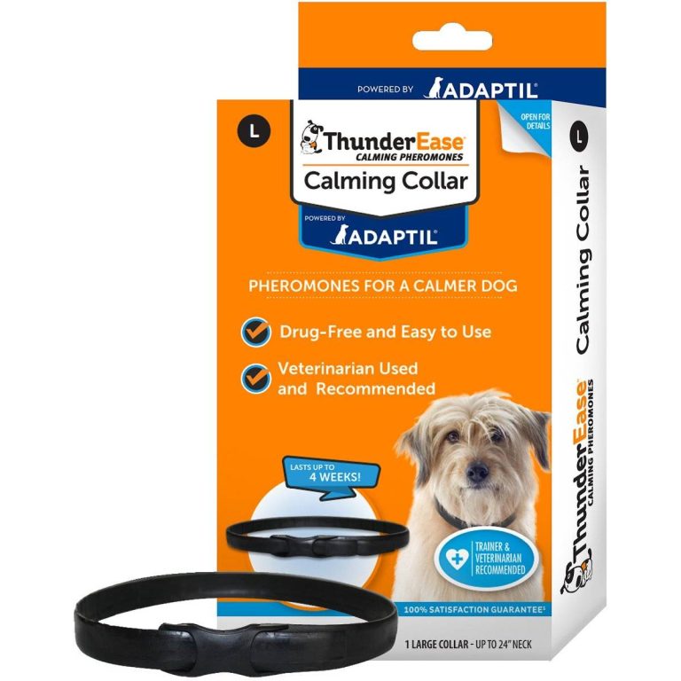 5 Best Calming Collars for Dogs in 2026 – Reviews & Top Picks – Dogster