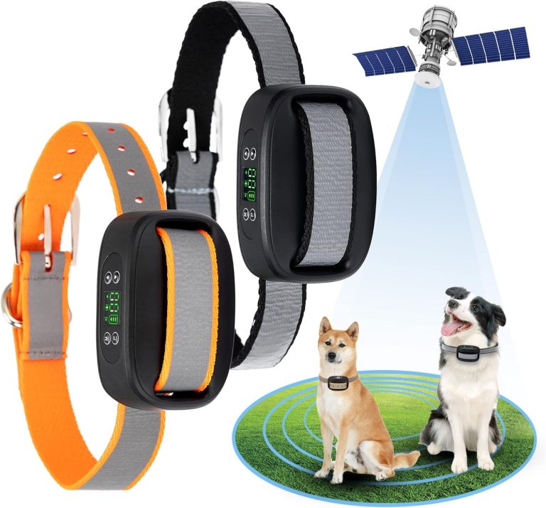 9 Best Wireless Dog Fences in 2026 – Reviews & Top Picks – Dogster