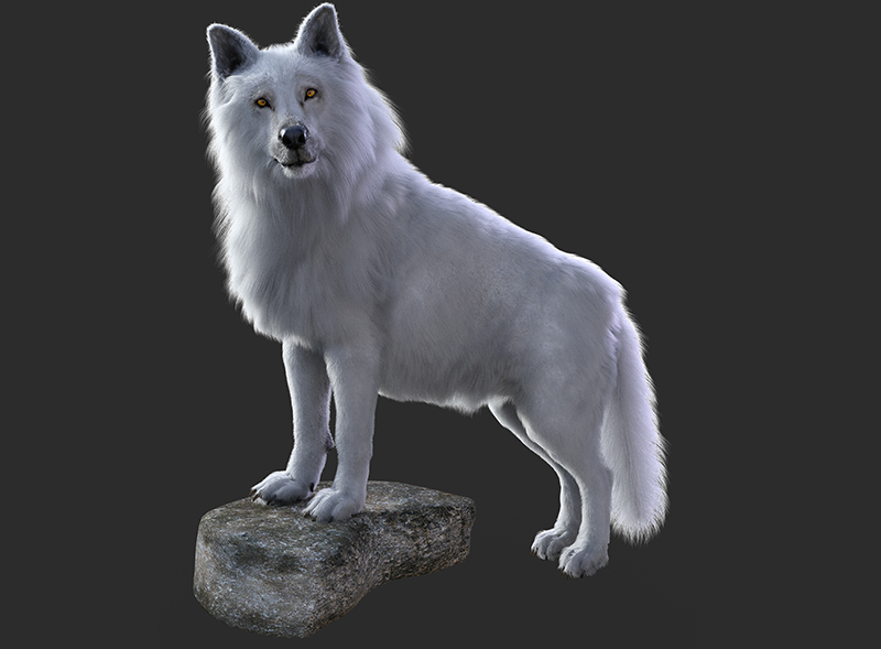 Game of Thrones' Direwolves: Facts & Fantasy – Dogster