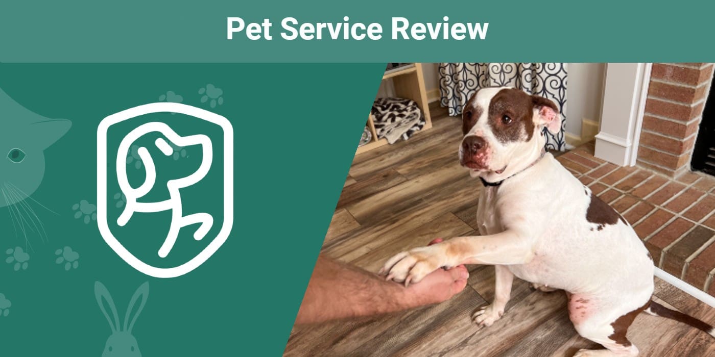 Woofz Dog Training App Review 2024: An Expert's Breakdown – Dogster