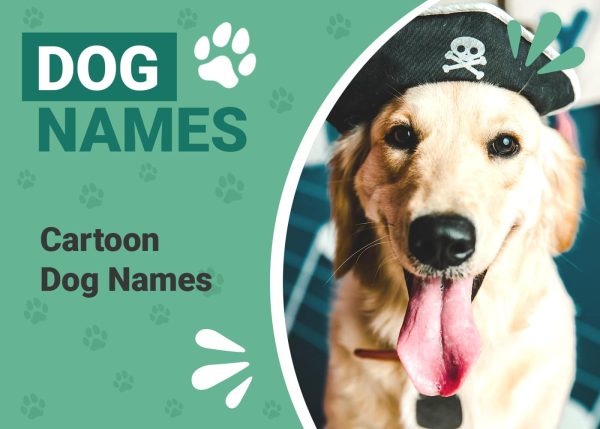 250 Cartoon Dog Names for Real-Life Goofy Pups – Dogster