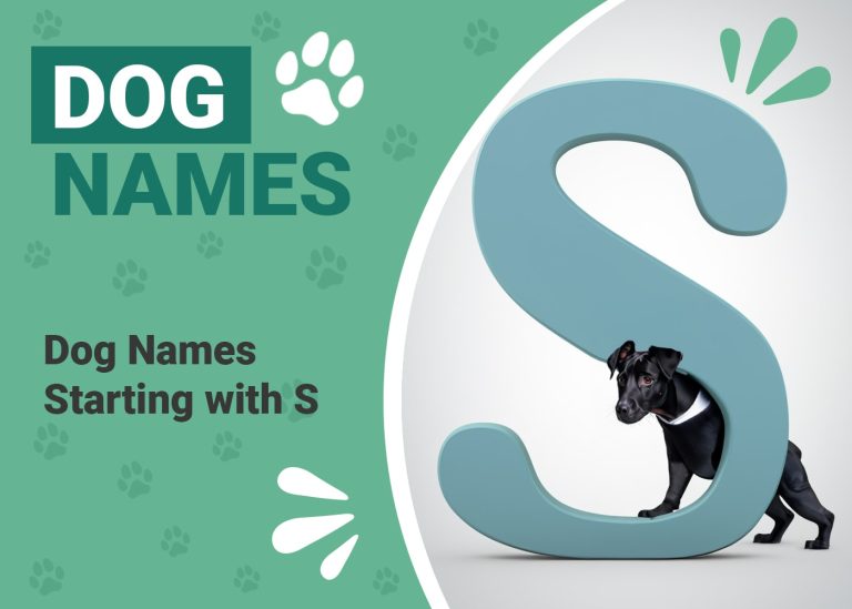150 Dog Names Starting With S: Spectacular Ideas for Your Pup – Dogster