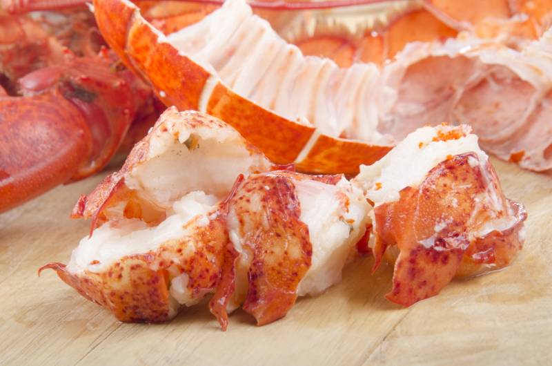 Can Dogs Eat Lobster? Vet-Approved Facts & FAQ – Dogster
