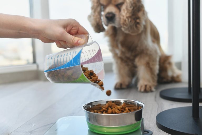 How Much Does a Cup of Dog Food Weigh? Vet-Approved Guide – Dogster