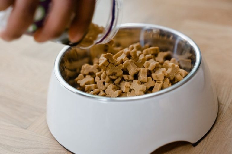 TBHQ in Dog Food: Vet-Approved Feeding & Safety Facts – Dogster