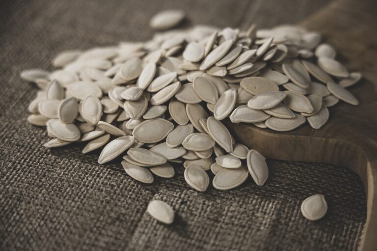 6 Top Seeds for Dogs: Vet-Approved Healthy & Nutritious Options – Dogster