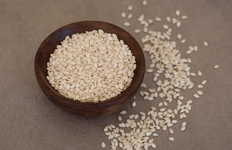 6 Top Seeds for Dogs: Vet-Approved Healthy & Nutritious Options – Dogster