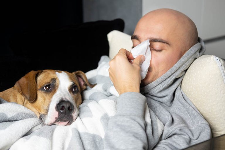 Can Dogs Get Sick From Humans? 7 Possible Diseases (Vet Answer) – Dogster