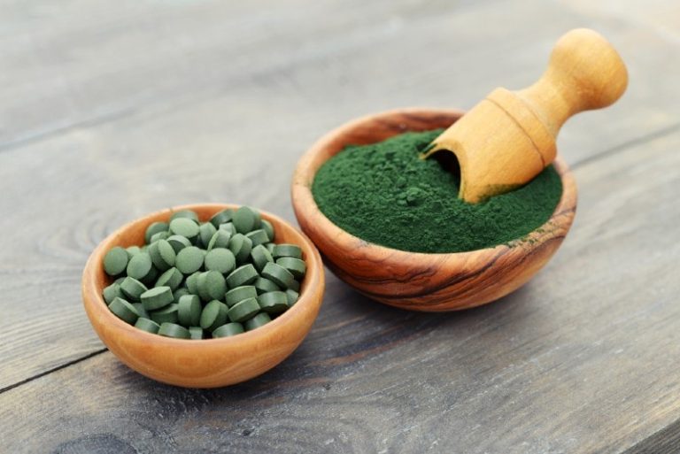 Spirulina for Dogs: Main Benefits, Uses & Tips – Dogster