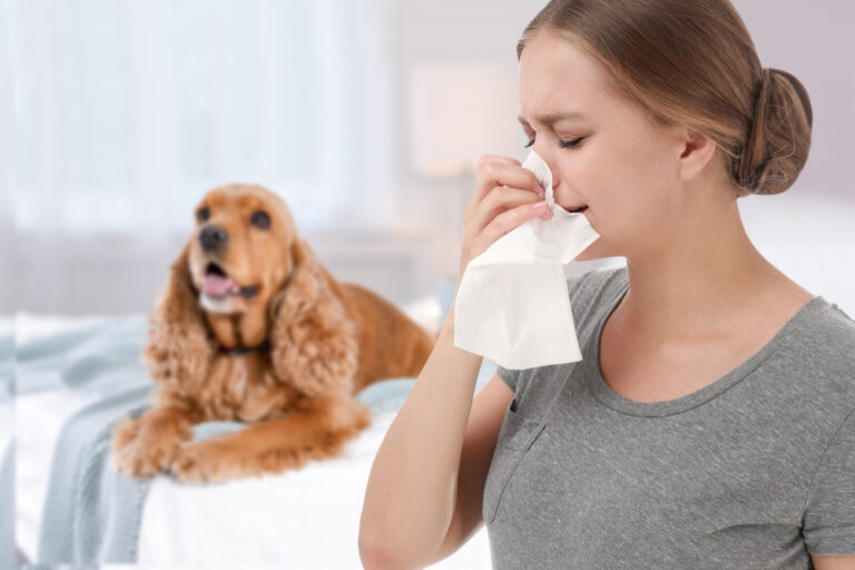Are You Allergic to Dog Dander? 12 Vet-Approved Things to Do – Dogster