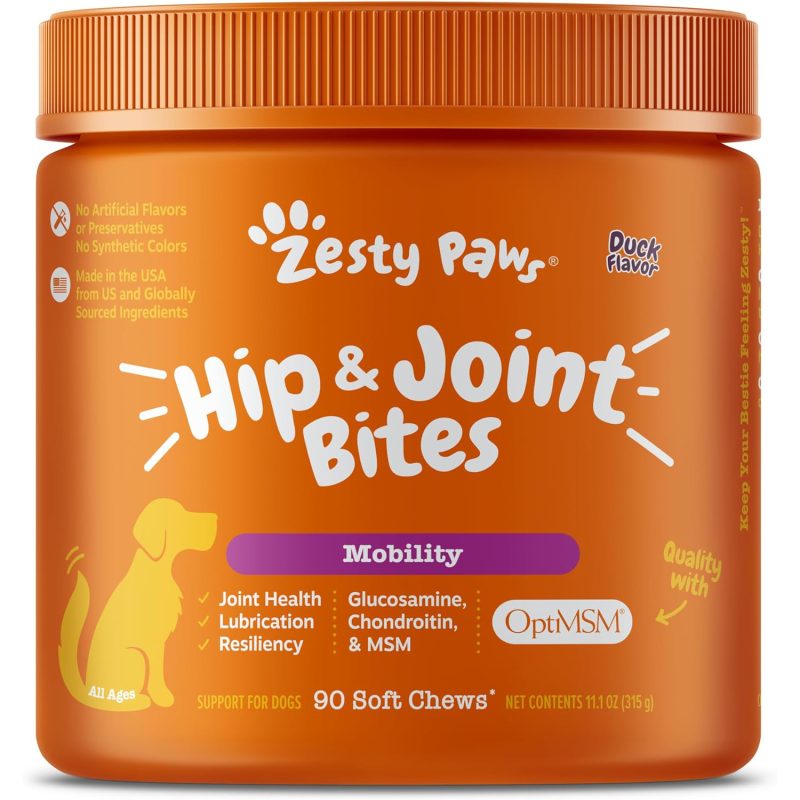 10 Best Joint Supplements for Dogs in 2026 - Reviews & Top Picks – Dogster