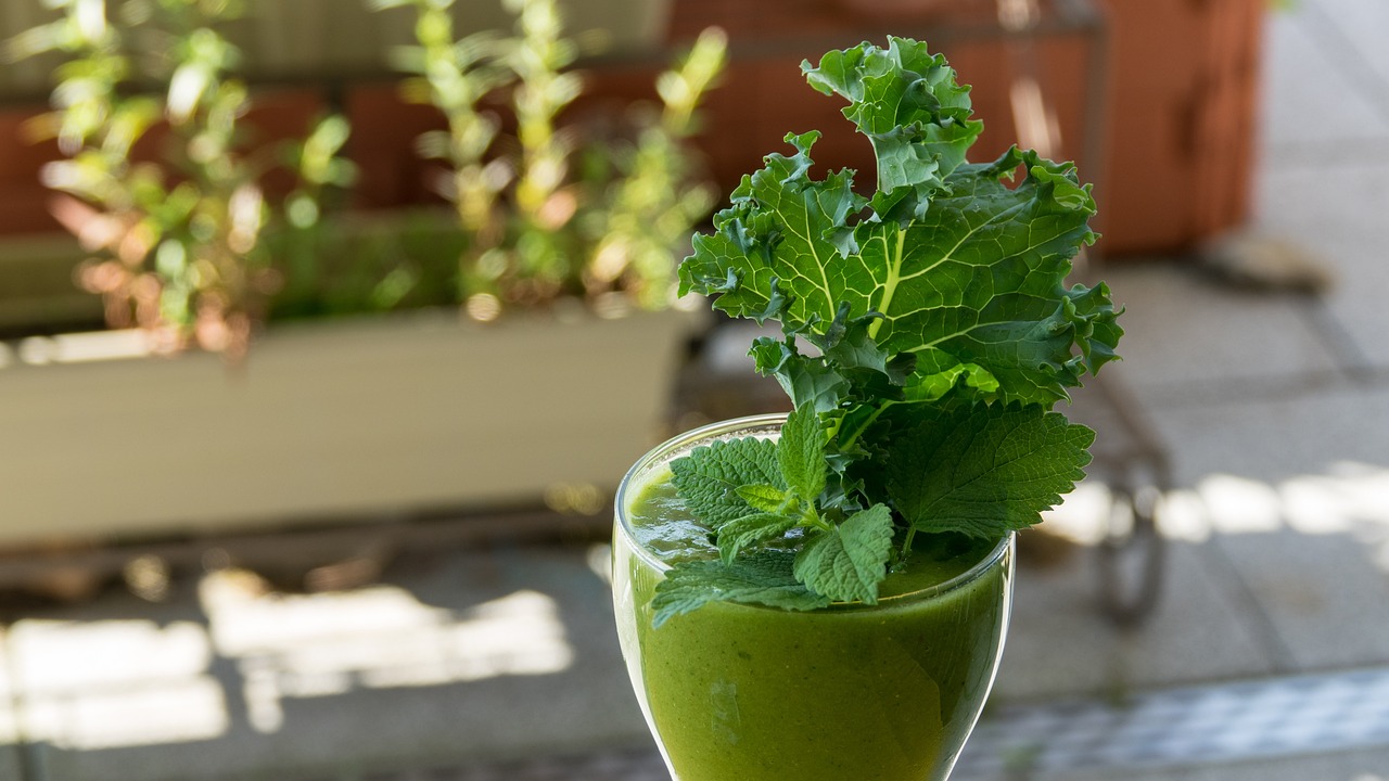 8 Dog Smoothie Recipes Your Pup Can Enjoy Today – Dogster