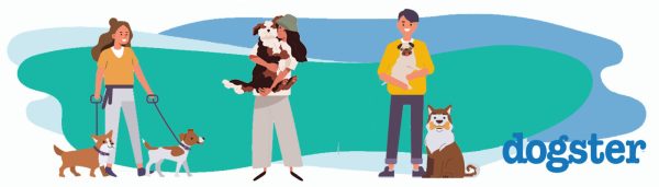 About Us – Dogster