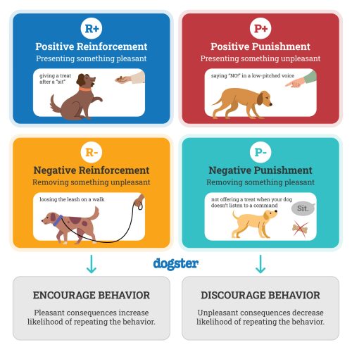 Abnormal Dog Behavior: 7 Vet-Reviewed Causes & Solutions – Dogster