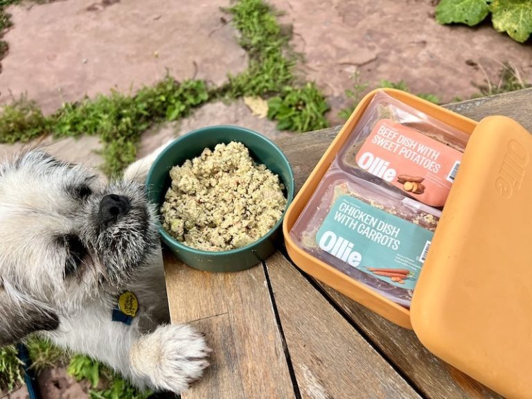 10 Best Non-GMO Dog Foods in 2025: Reviews & Top Picks – Dogster