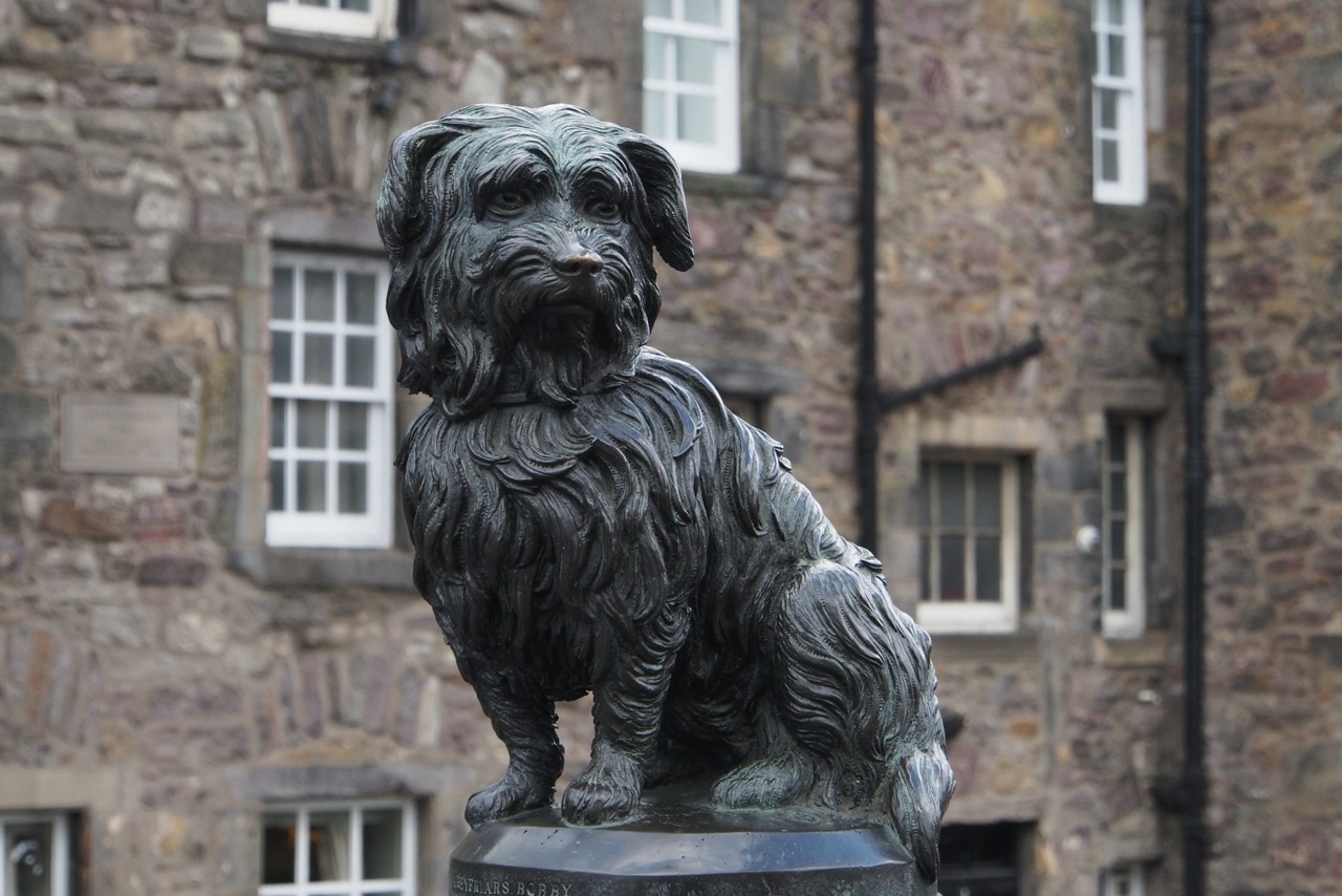 10 Famous Dog Statues From Around the World (2024 Update) – Dogster