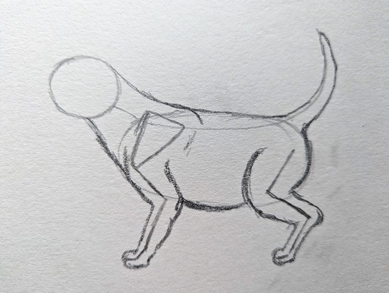 How to Draw a Puppy: Our Vet's Step-by-Step Instructions (with Video ...