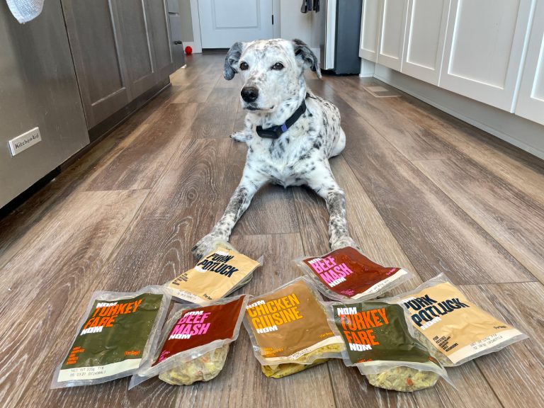 Nom Nom Dog Food Subscription Review 2025: Our Expert’s Breakdown – Dogster