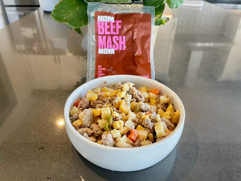 Nom Nom Dog Food Subscription Review 2025: Our Expert’s Breakdown – Dogster