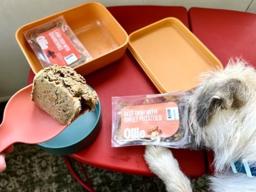 12 Best Moist Dog Foods in 2026 - Reviews & Top Picks – Dogster