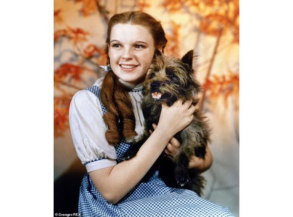 10 Dogs in Literature That Are Famous From Books – Dogster