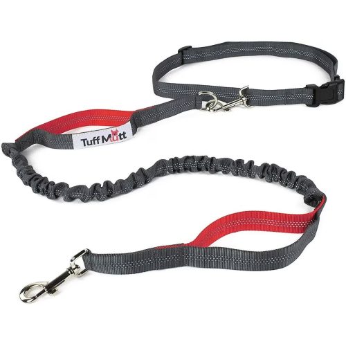 8 Best Hands-Free Dog Leashes in 2026: Reviews & Top Picks – Dogster