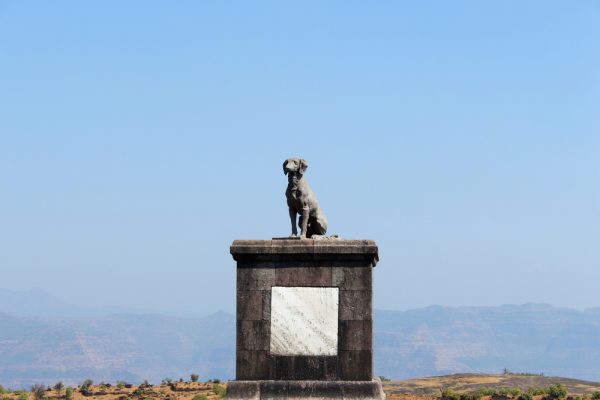 10 Famous Dog Statues From Around the World (2026 Update) – Dogster