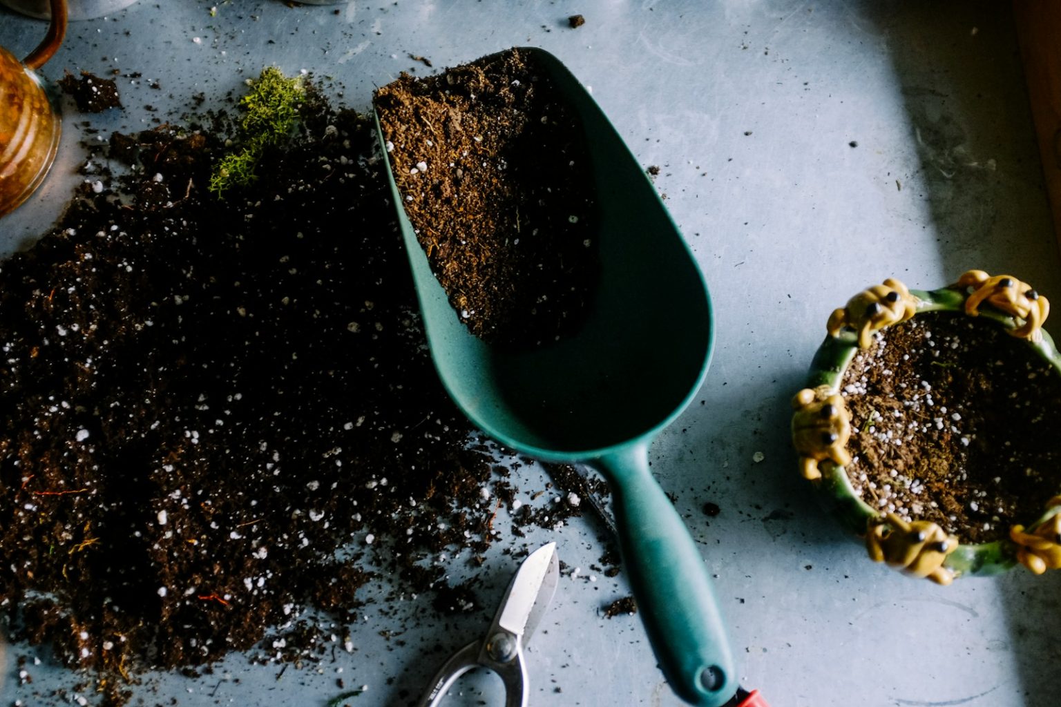 How to Compost Dog Poop: 8 Easy Steps to Do at Home – Dogster
