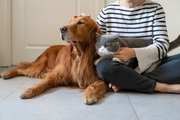 14 Australia Pet Industry Statistics to Know in 2026: Trends, Market ...