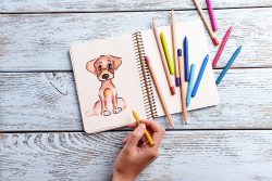 How to Draw a Puppy: Our Vet's Step-by-Step Instructions (with Video ...