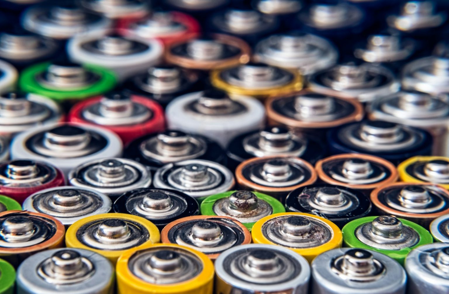 My Dog Ate a Battery: What to Do, Signs & Treatment (Vet Answer) – Dogster
