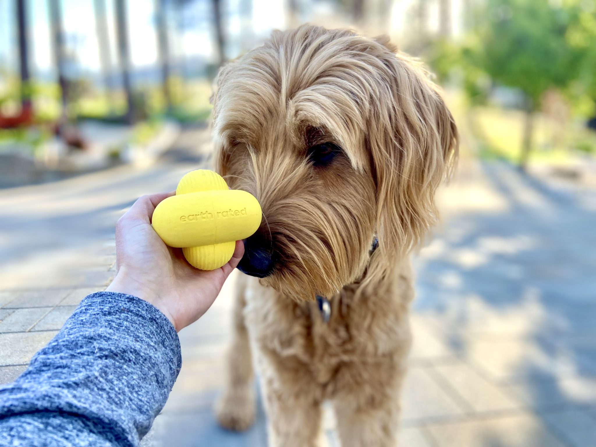 Earth Rated Fetch Toy Review 2025: An Expert’s Breakdown – Dogster