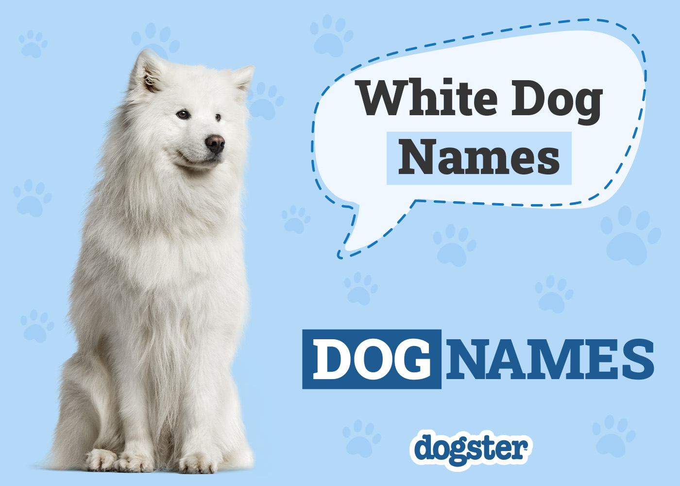 White pet names store
