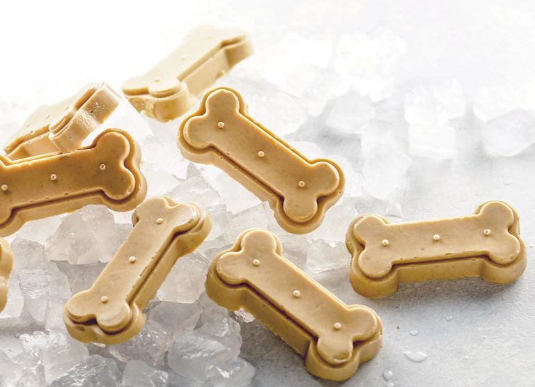 10 Frozen Dog Treat Recipes: Great Summer Options for Your Pup – Dogster