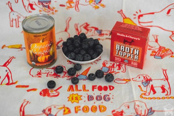 10 Frozen Dog Treat Recipes: Great Summer Options for Your Pup – Dogster