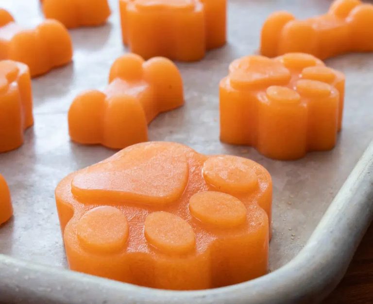 10 Frozen Dog Treat Recipes: Great Summer Options for Your Pup – Dogster