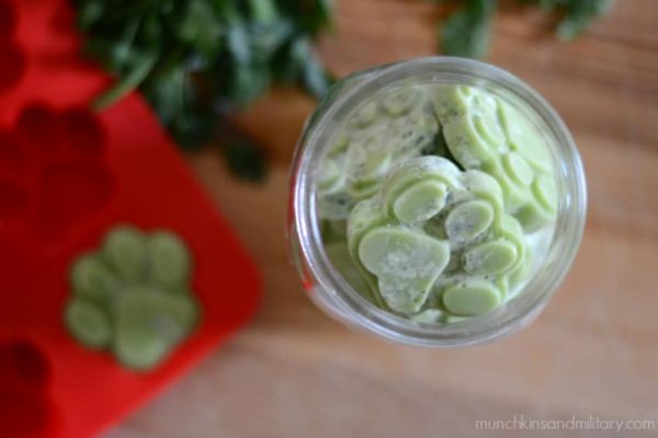 10 Frozen Dog Treat Recipes: Great Summer Options for Your Pup – Dogster