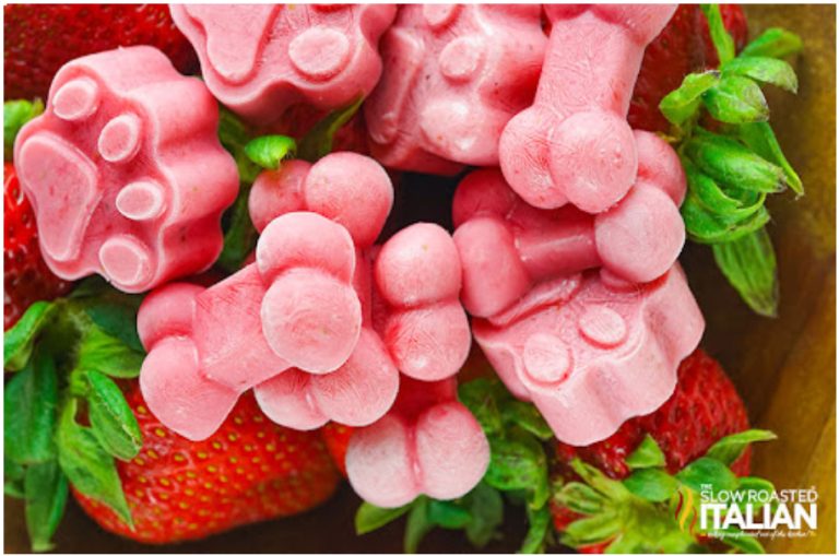 10 Frozen Dog Treat Recipes: Great Summer Options for Your Pup – Dogster