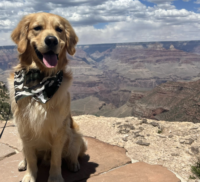 10 Best Dog-Friendly National Parks in 2026 – Dogster