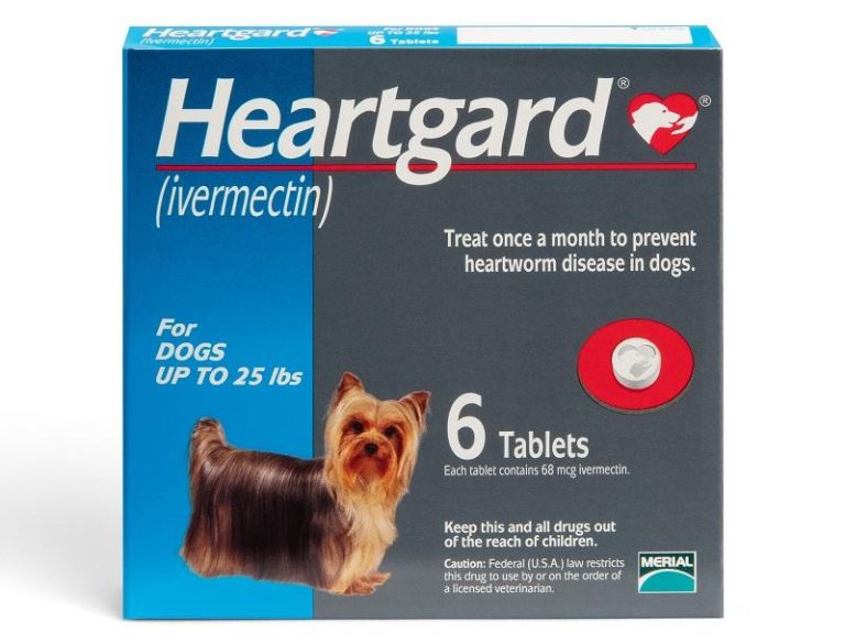 Heartgard vs. Heartgard Plus: Vet-Verified Differences? – Dogster