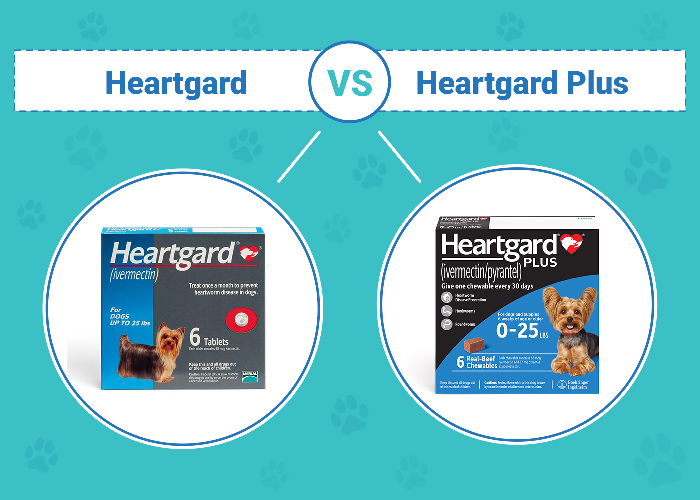 Heartgard vs. Heartgard Plus: Vet-Verified Differences? – Dogster