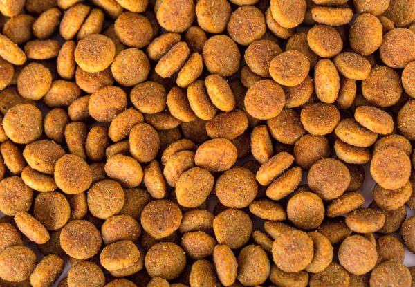 What is Kibble Dog Food? Vet-Reviewed Facts & FAQ – Dogster